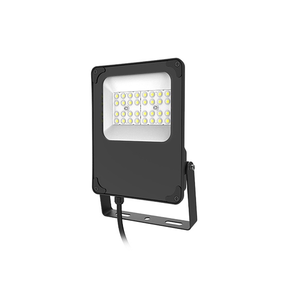 RA Series Flood Light